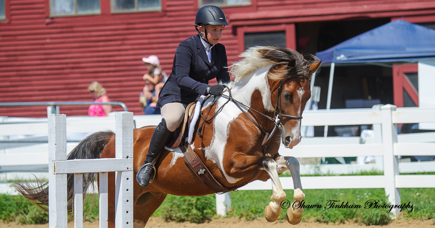 NSHA Hunter Show - Event Proofs - 2023 - Show Proofs - Shawn Tinkham ...