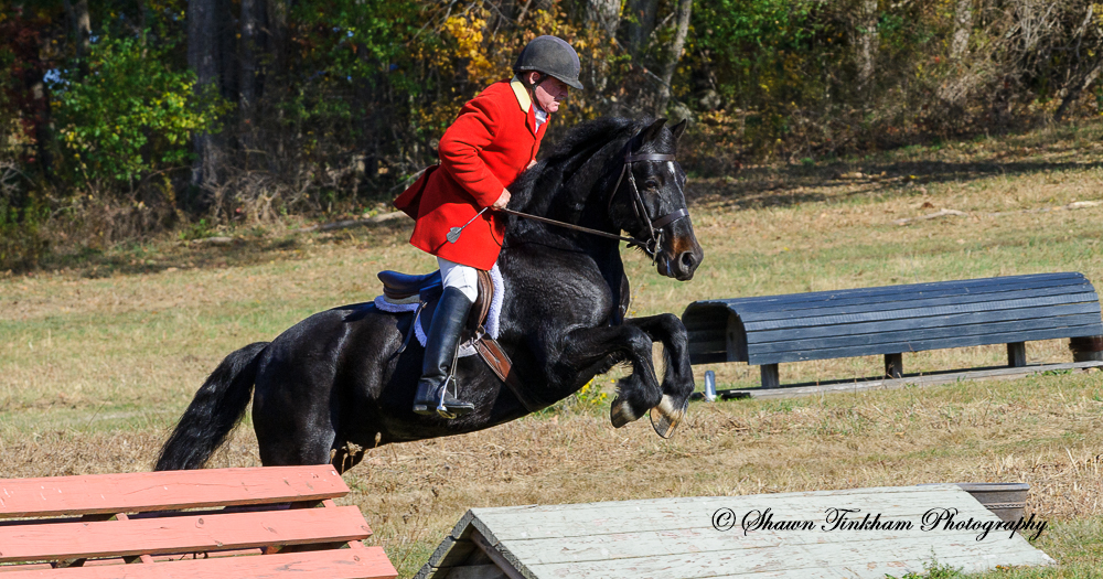 Oct 22 Pipestave Hill - Event Proofs - 2024 - Myopia Hunt - Shawn ...