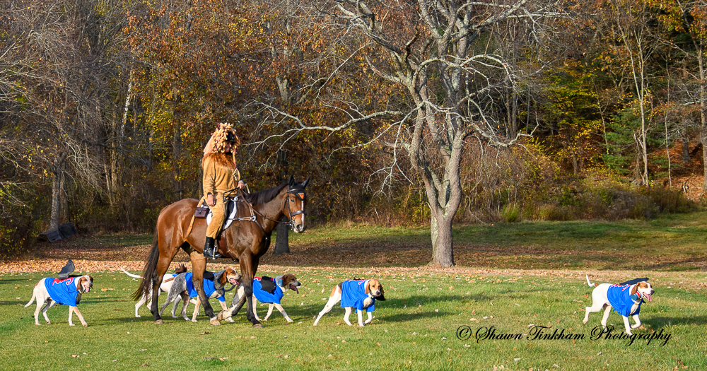 Oct 30 Jr Halloween Hunt-The return to Oz - Event Proofs - 2024 ...