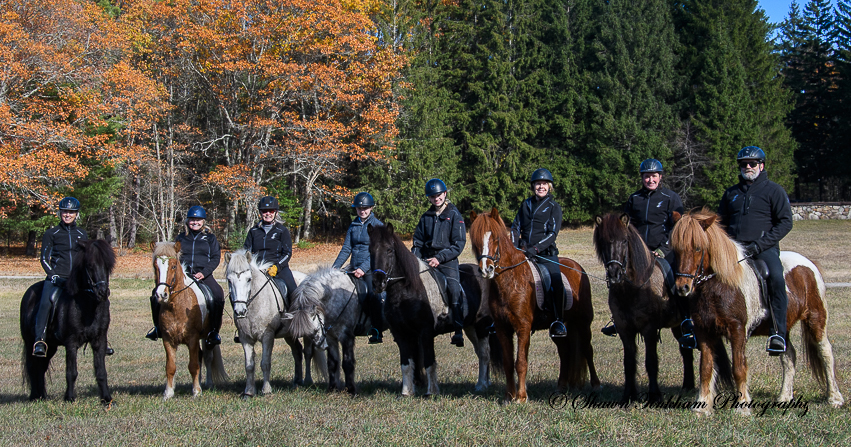 Fall Hunter Pace - Event Proofs - 2024 - Myopia Hunt - Shawn Tinkham ...